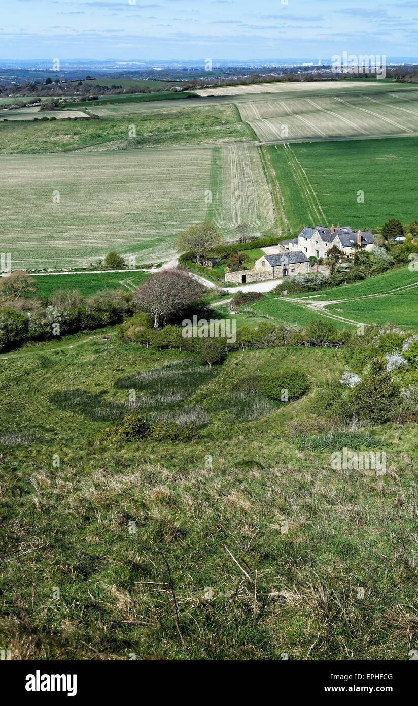 Chillerton down hi-res stock photography and images - Alamy