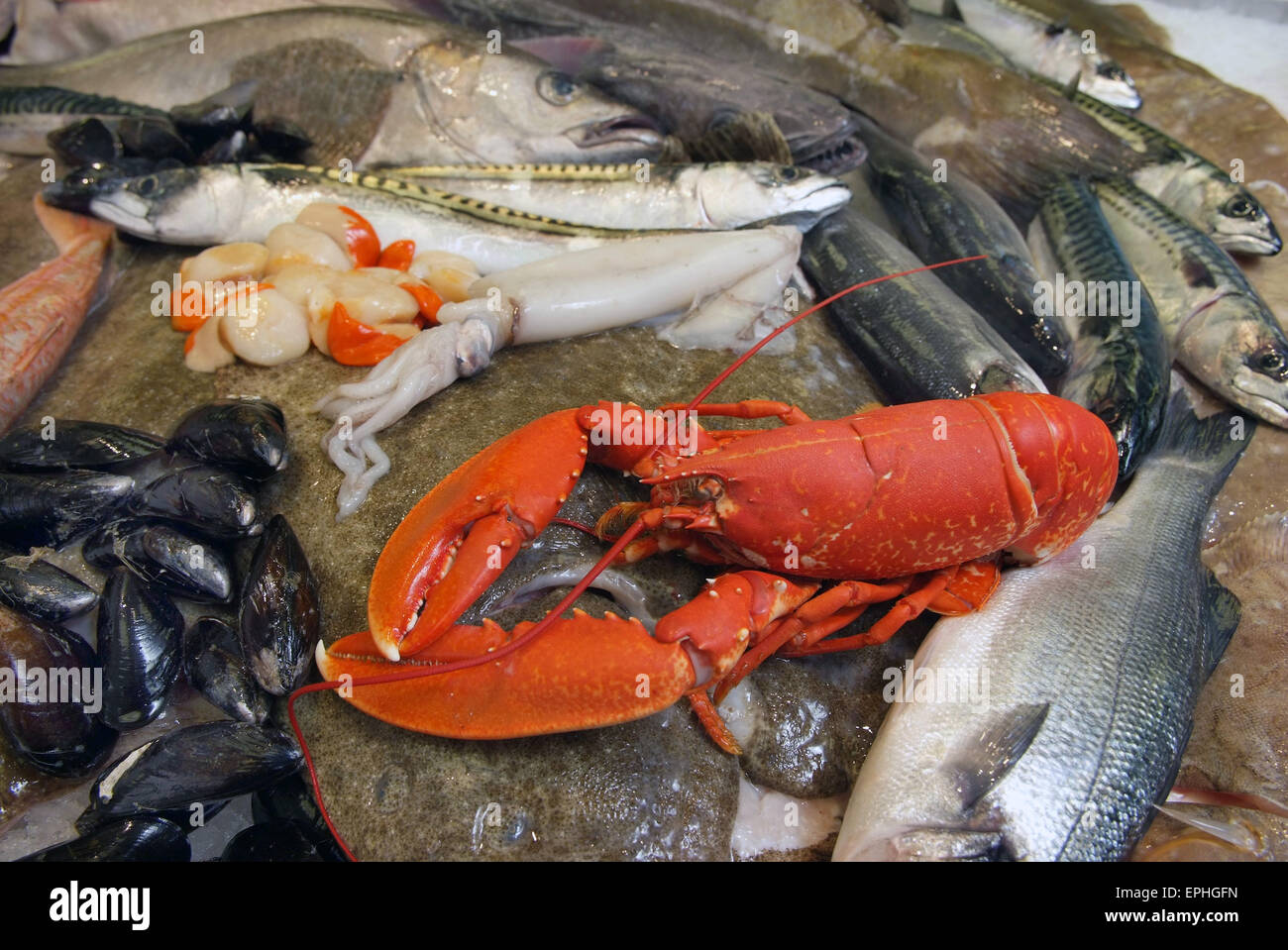 A selection of seafood on a fishmongers slab in St.Ives,Cornwall,UK ...