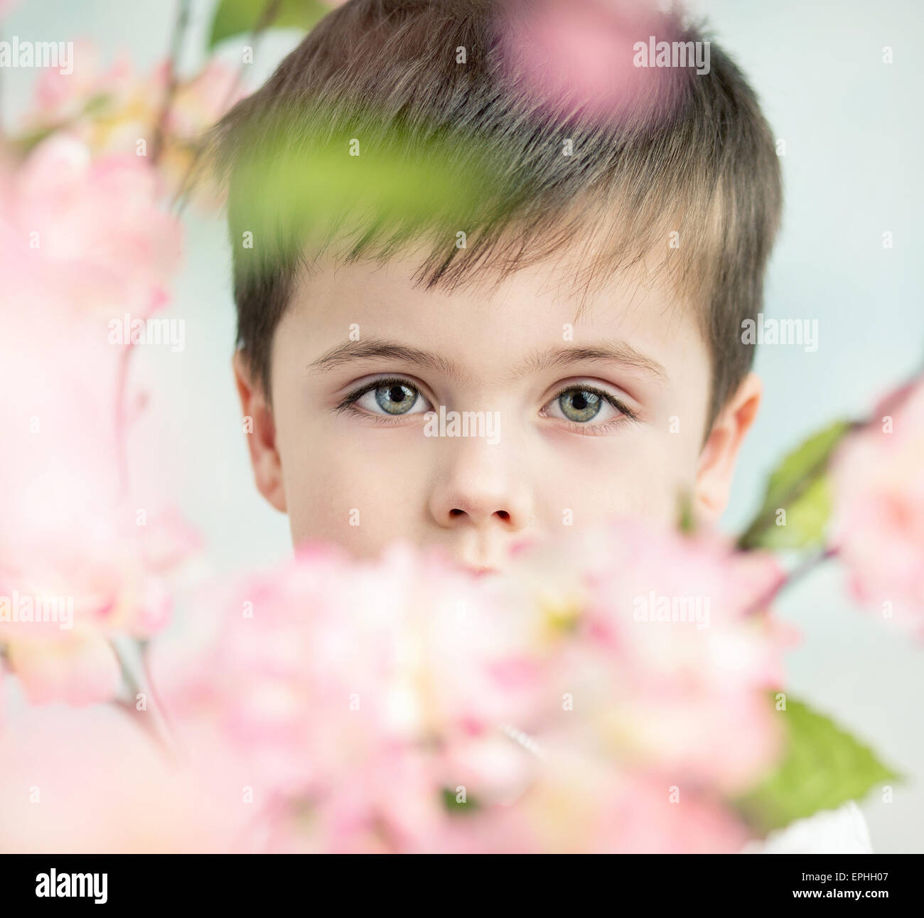 Handsome little man with a plant Stock Photo - Alamy
