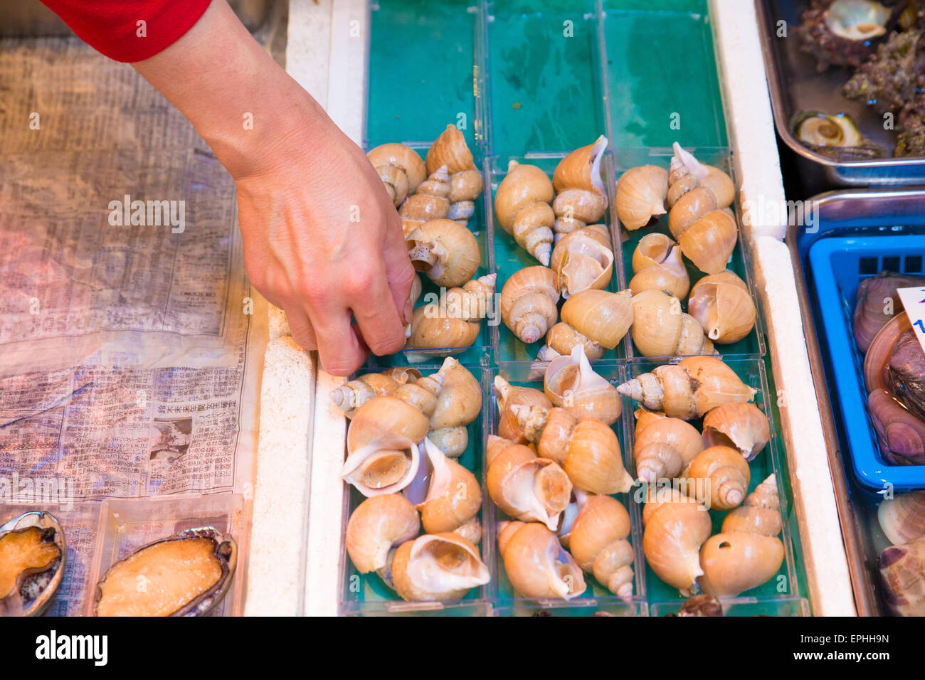 Tsukiji fish market in Tokyo, Japan Stock Photo - Alamy
