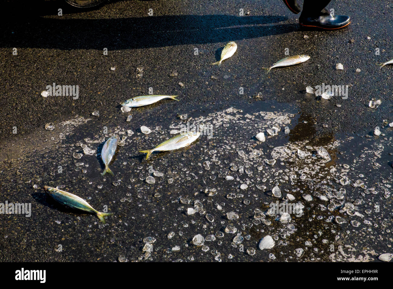 Dropped sushi hi-res stock photography and images - Alamy
