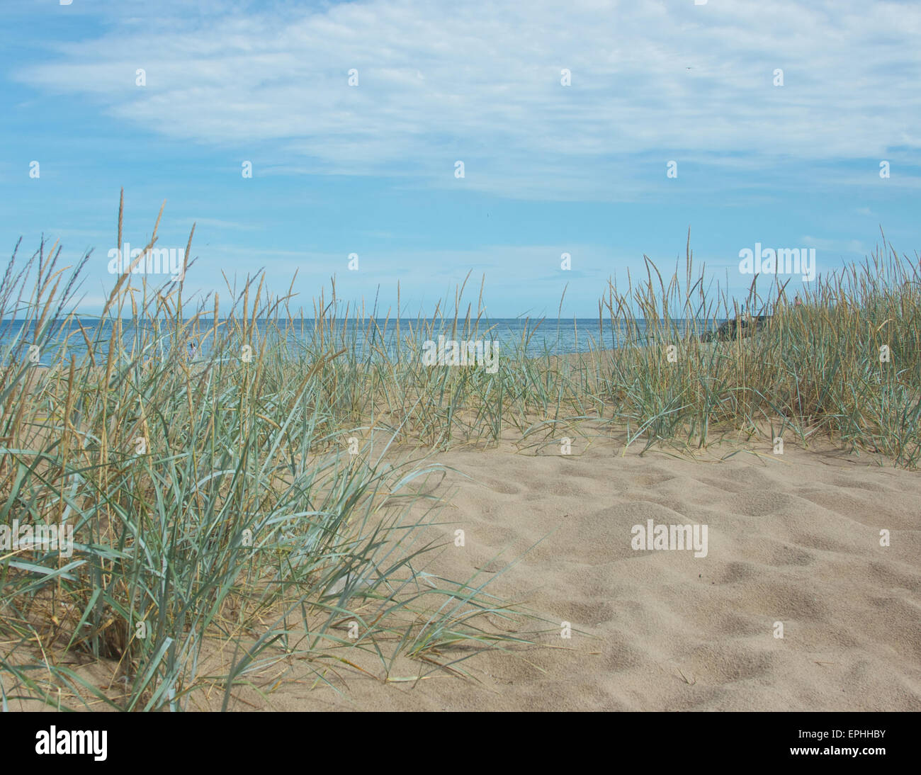 Beach, overlooking Lake Michigan Stock Photo - Alamy