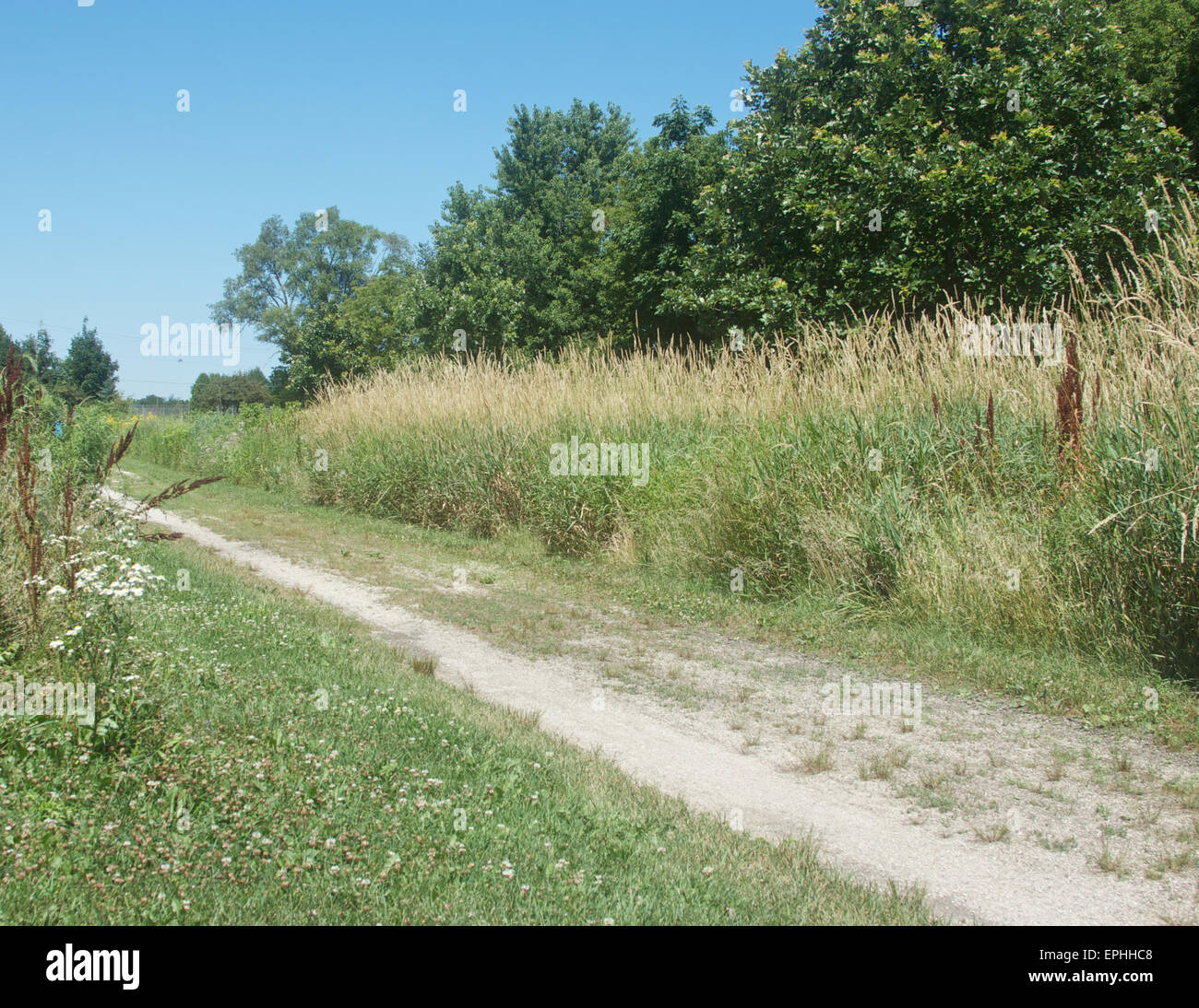 Old gravel pathway in a park, overgrown with prairie grass Stock Photo ...