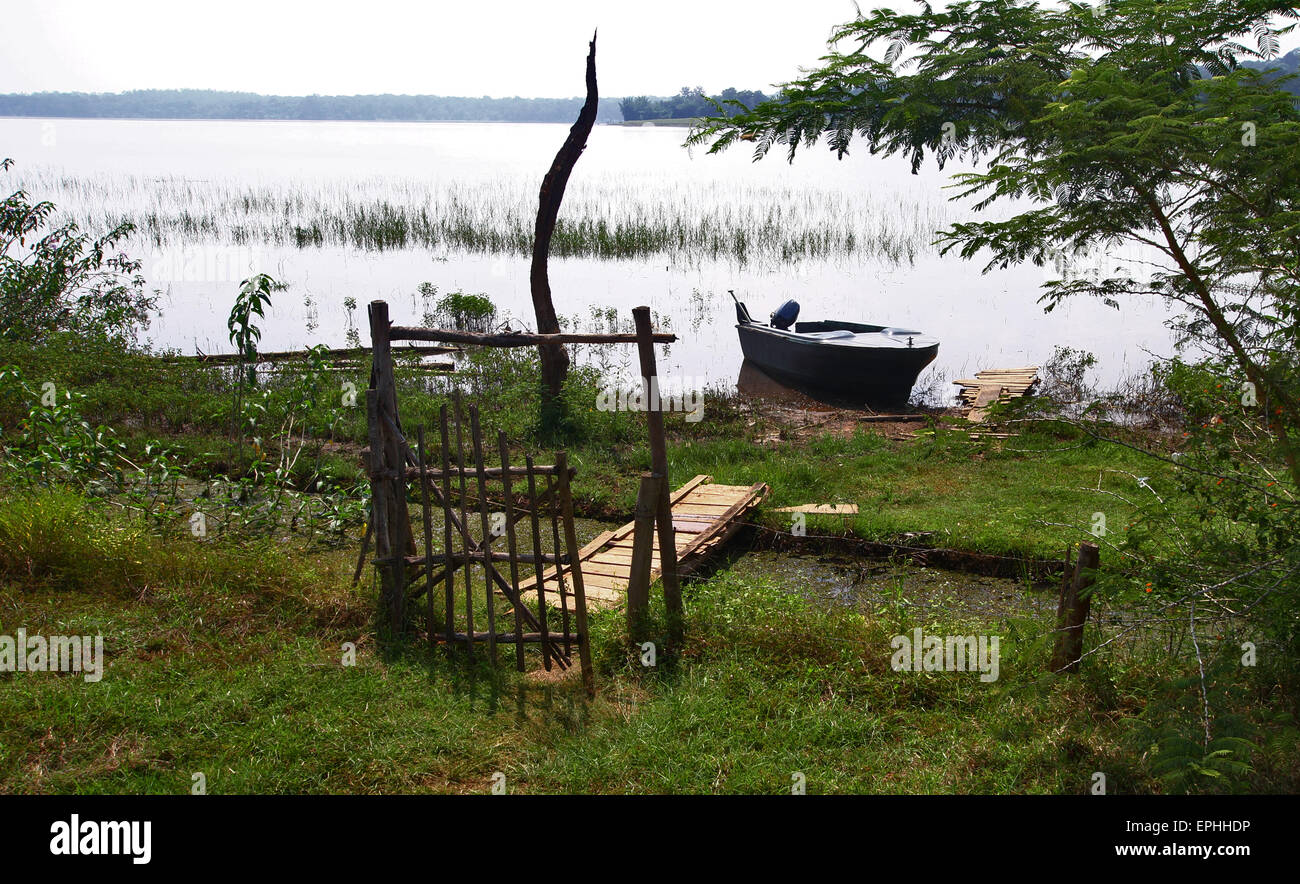 the bison resort, kabini, karnadaka Stock Photo - Alamy