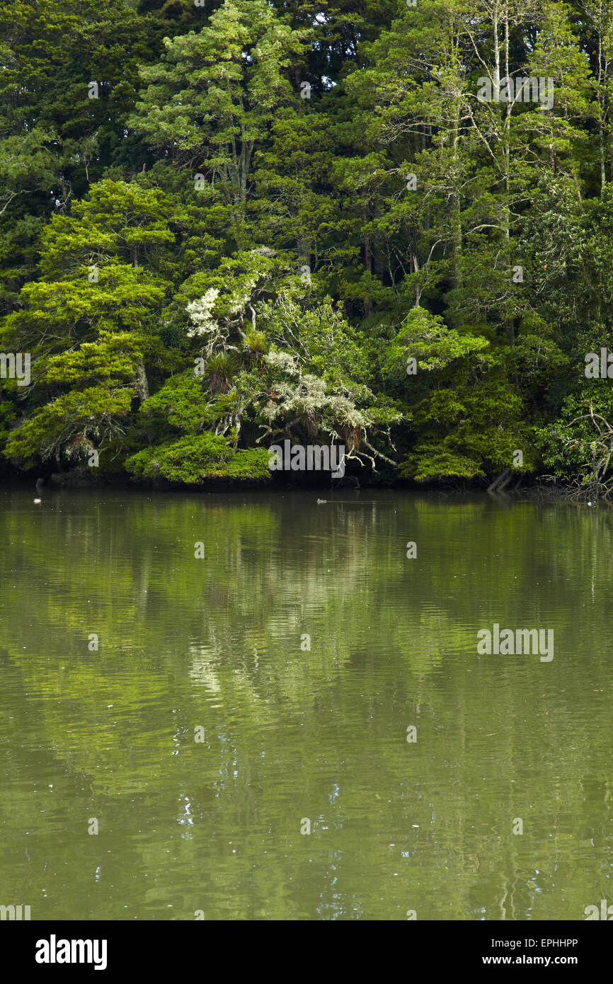 Mahurangi river warkworth north auckland hi-res stock photography and ...