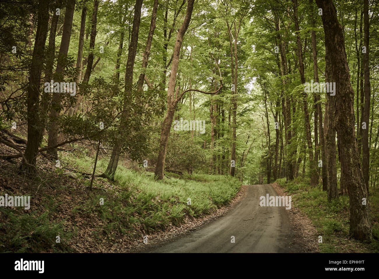 Mountain Road, Delaware Water Gap National Recreation Area, Walpack ...