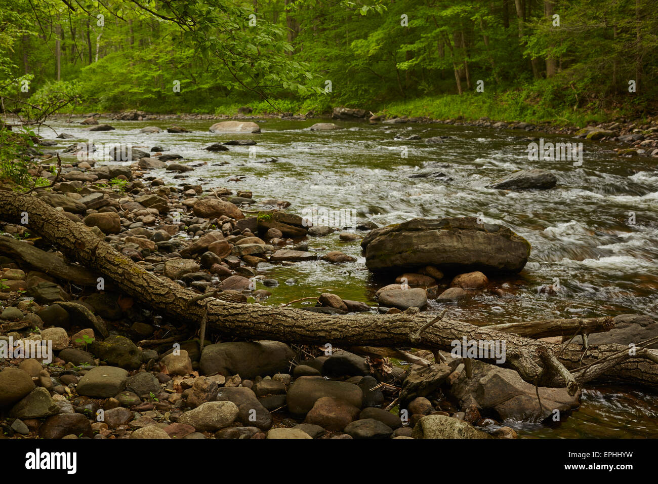 Layton hi-res stock photography and images - Alamy