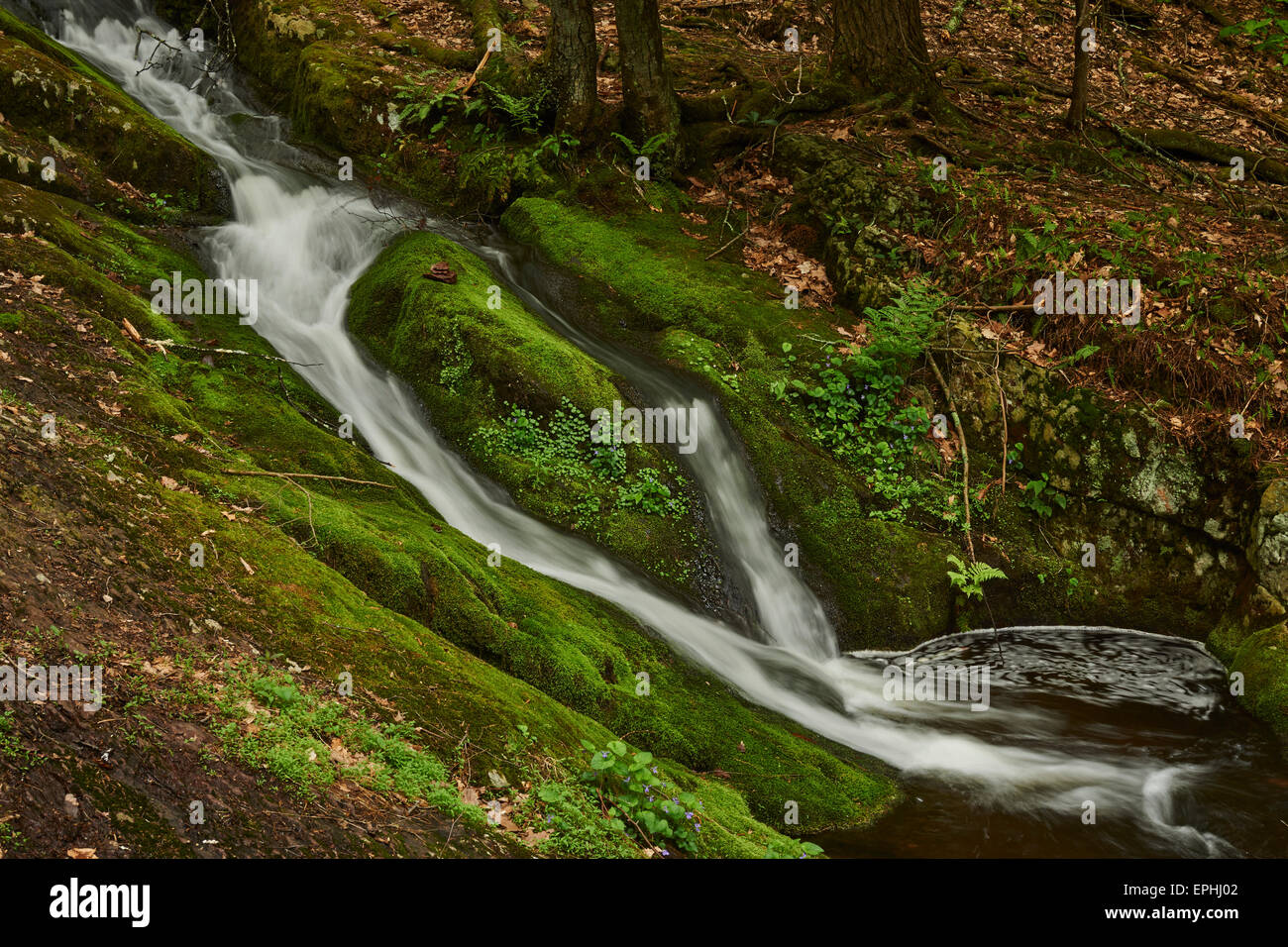 Tillman's Ravine, Delaware Water Gap National Recreation Area, Walpack ...