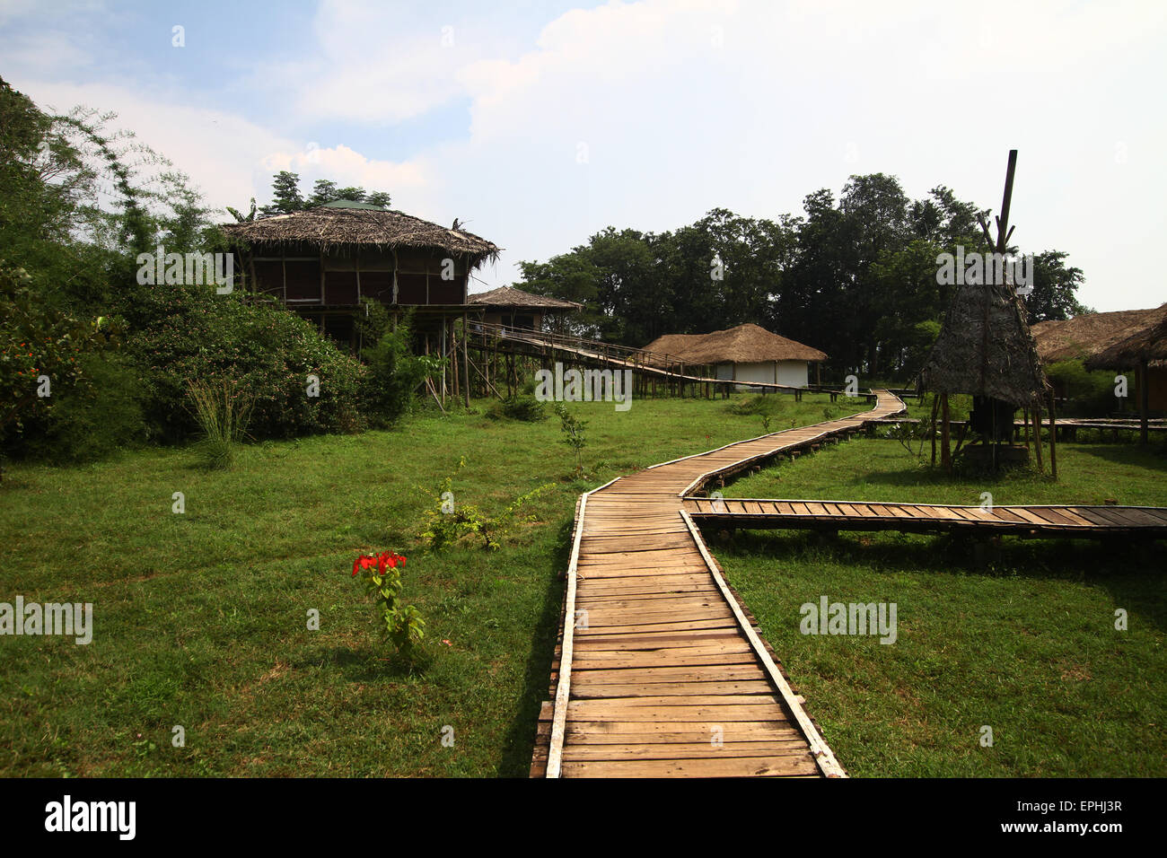 the bison resort, kabini, karnadaka Stock Photo - Alamy