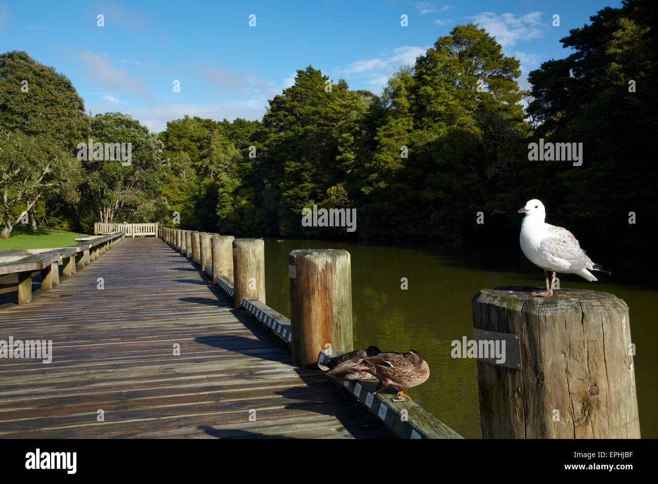 Mahurangi river hi-res stock photography and images - Alamy