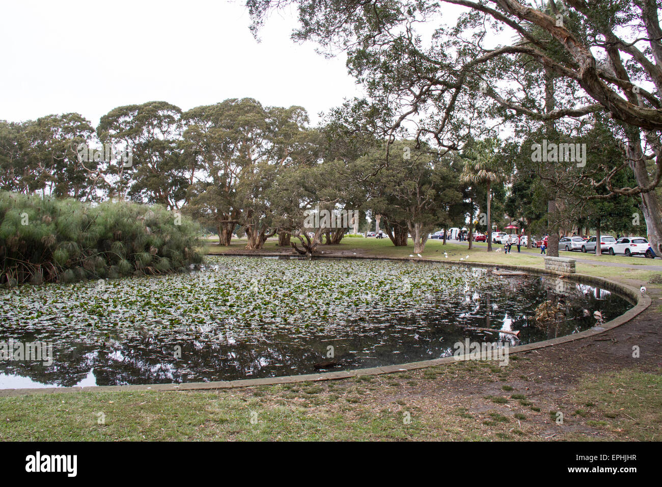 Centennial parklands in sydney hi-res stock photography and images - Alamy
