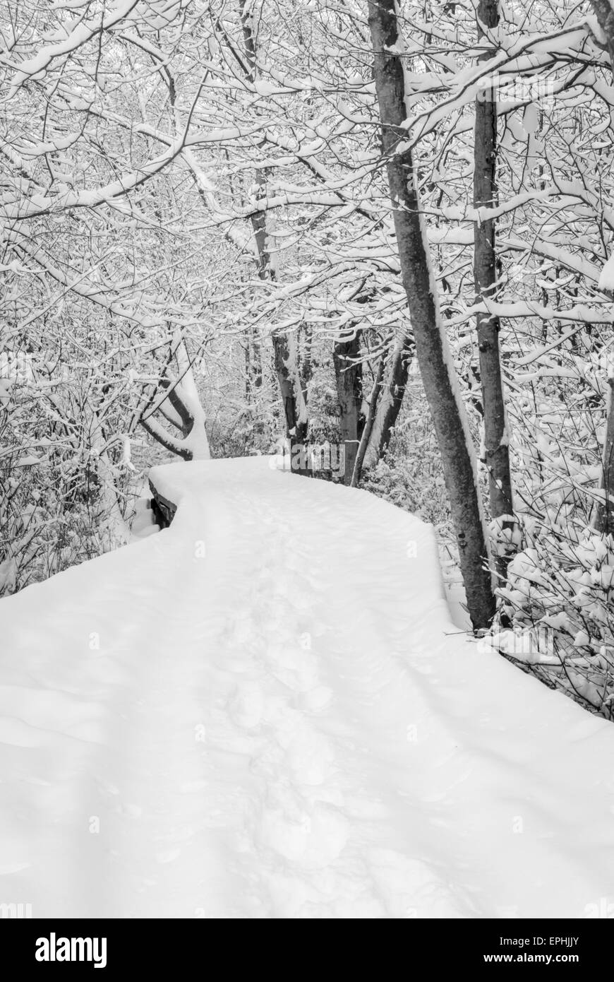 Rare color Black and White Stock Photos & Images - Alamy