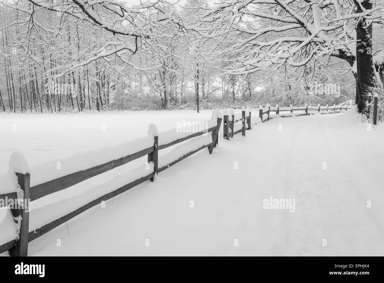 Rare color Black and White Stock Photos & Images - Alamy