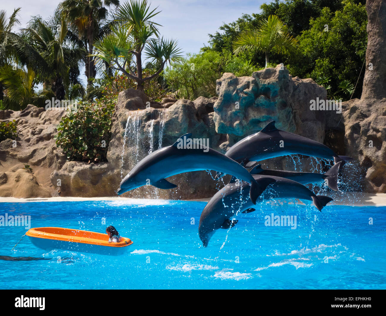 Delfine hi-res stock photography and images - Alamy