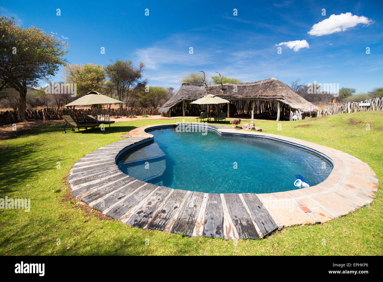 Africa, Namibia. AfriCat Foundation. Relaxing pool area Stock Photo - Alamy