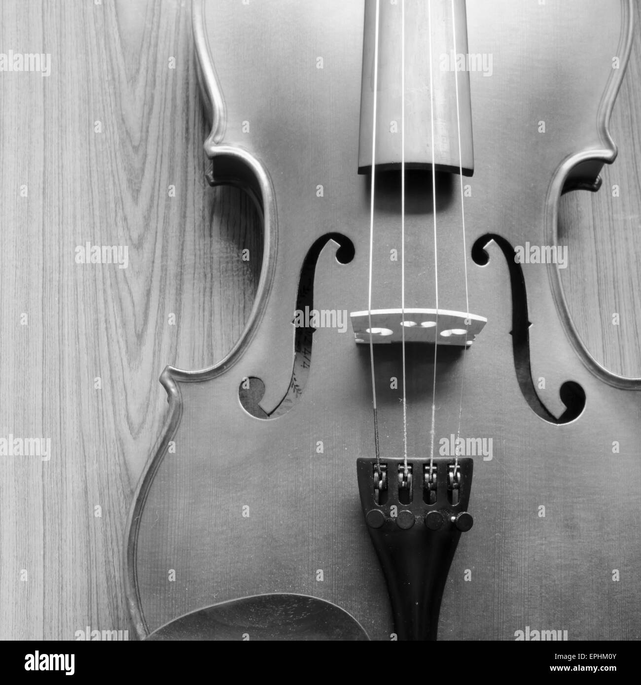 classic black and white violin Stock Photo - Alamy