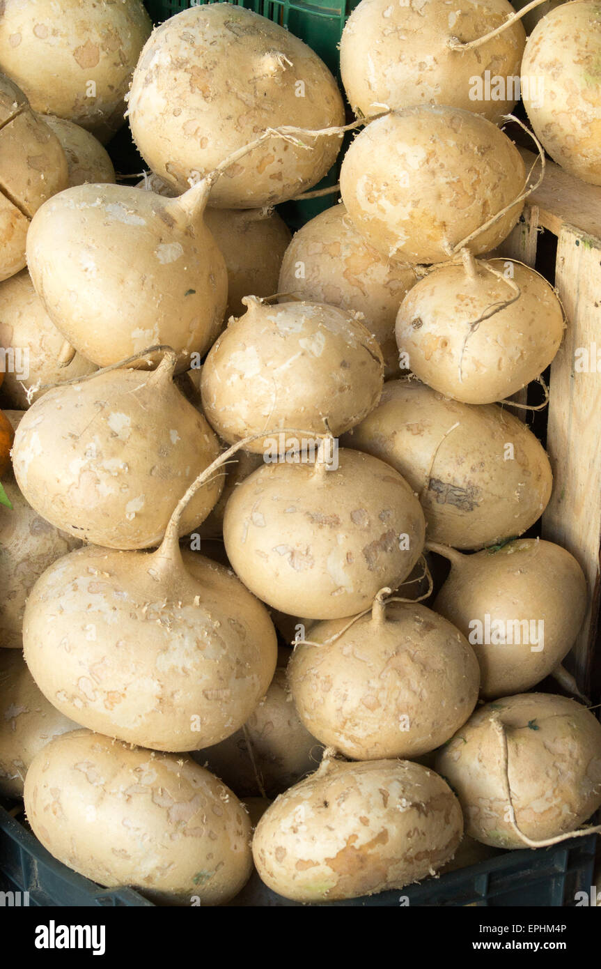 Tropical yam hi-res stock photography and images - Alamy