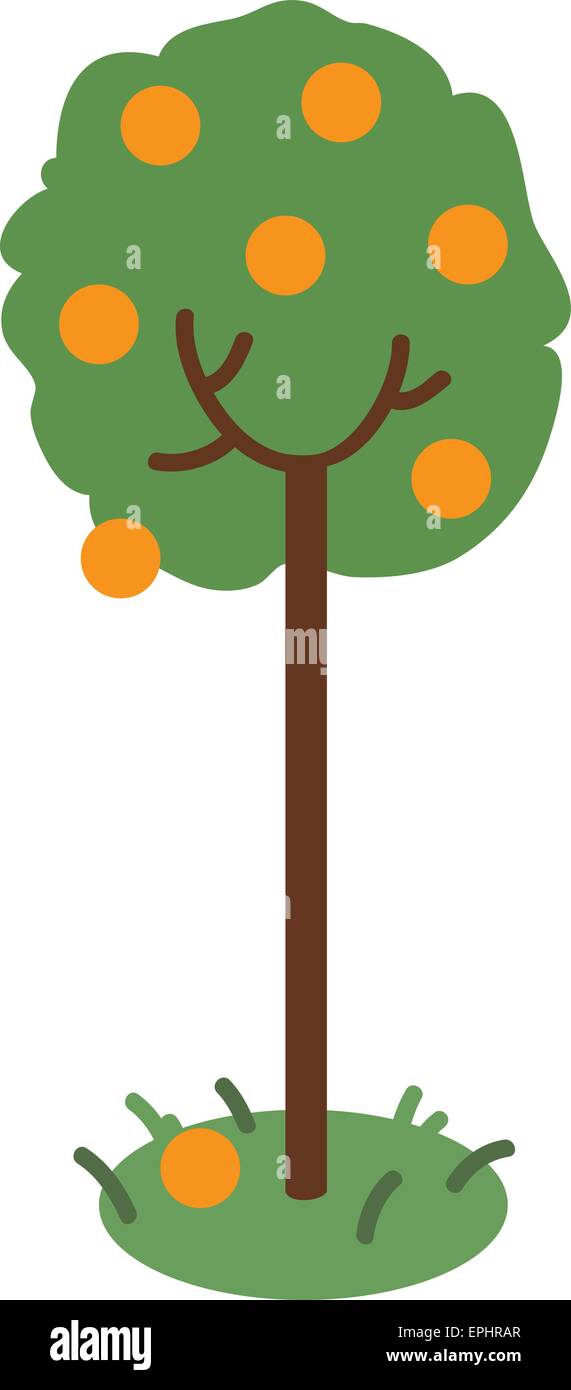 Duhat Tree Clip Art