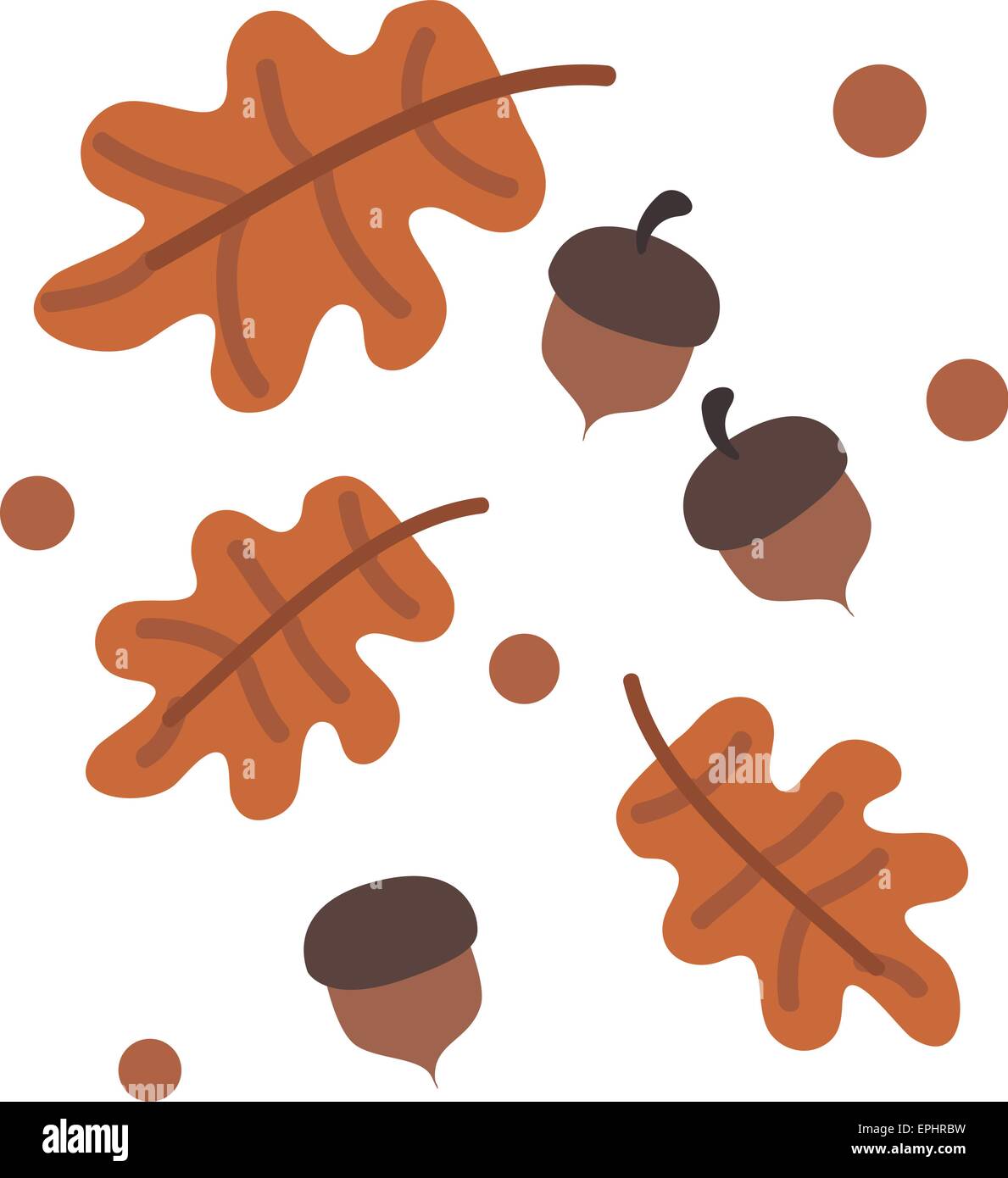 Vector illustration of autumn acorns, isolated over white background ...
