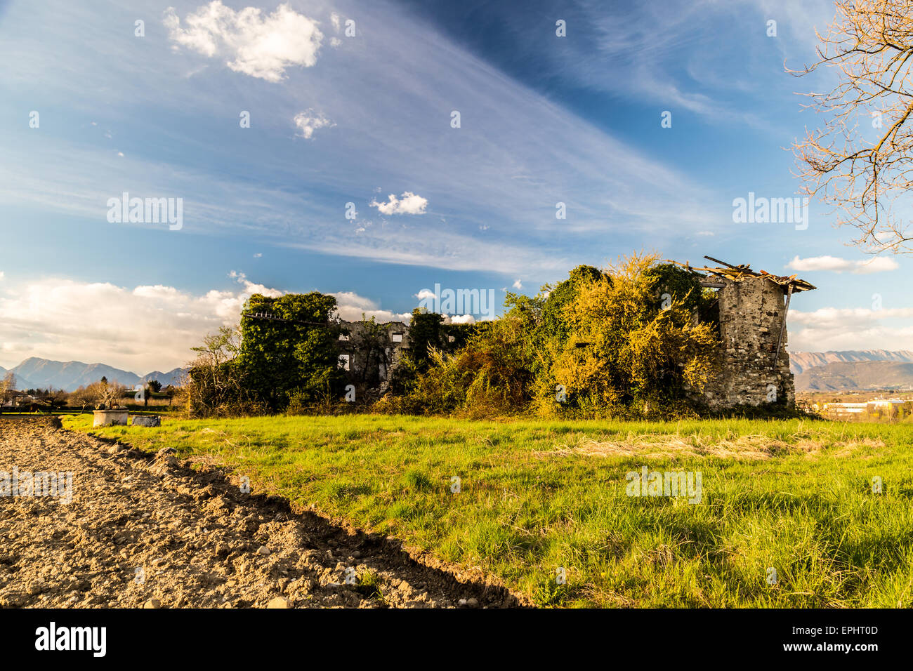 an abandoned and ruined farm in the fields of Italy Stock Photo - Alamy
