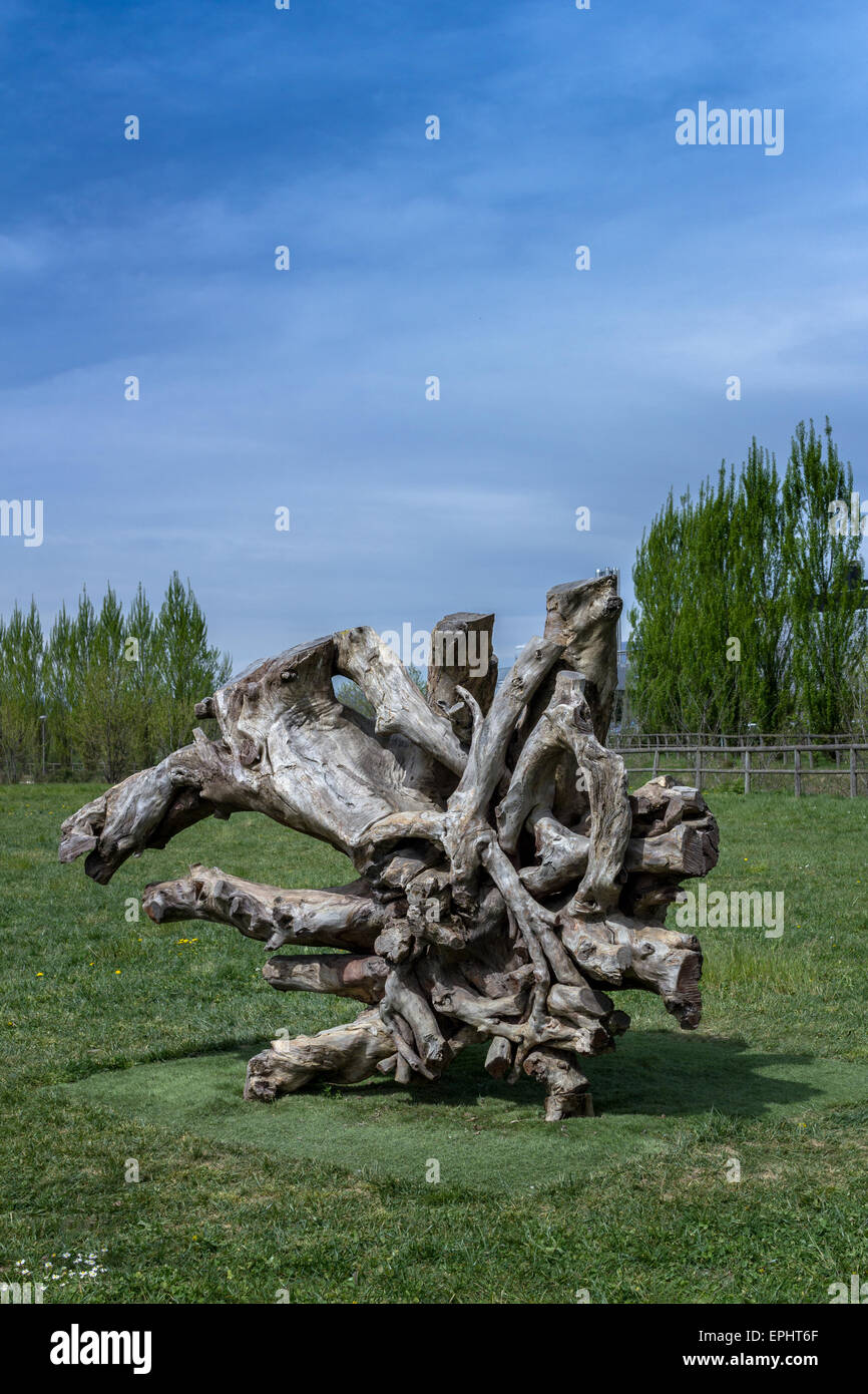 Gnarled tree trunk used as a modern sculpture Stock Photo - Alamy