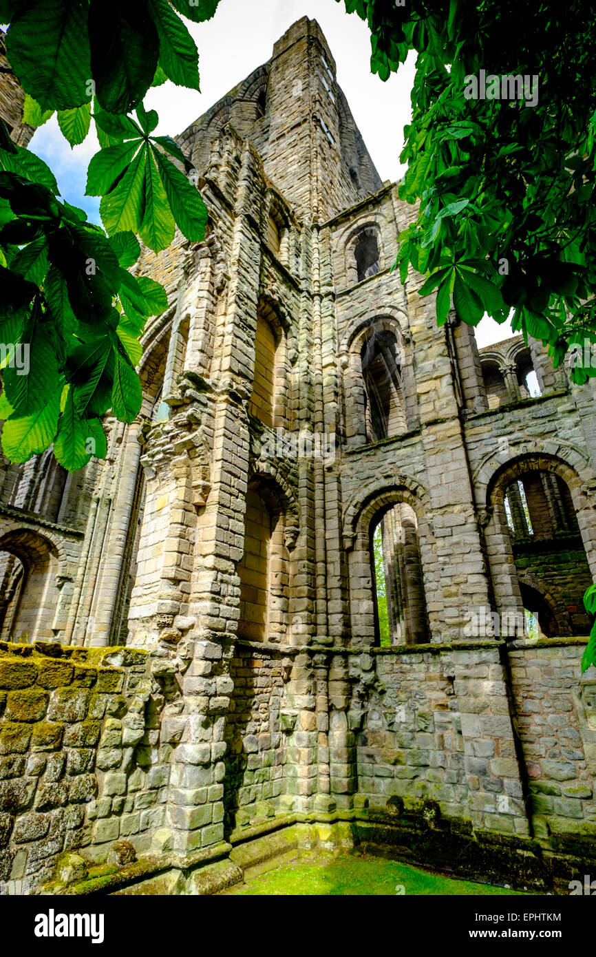 Kelso Abbey, Scottish Borders Stock Photo - Alamy