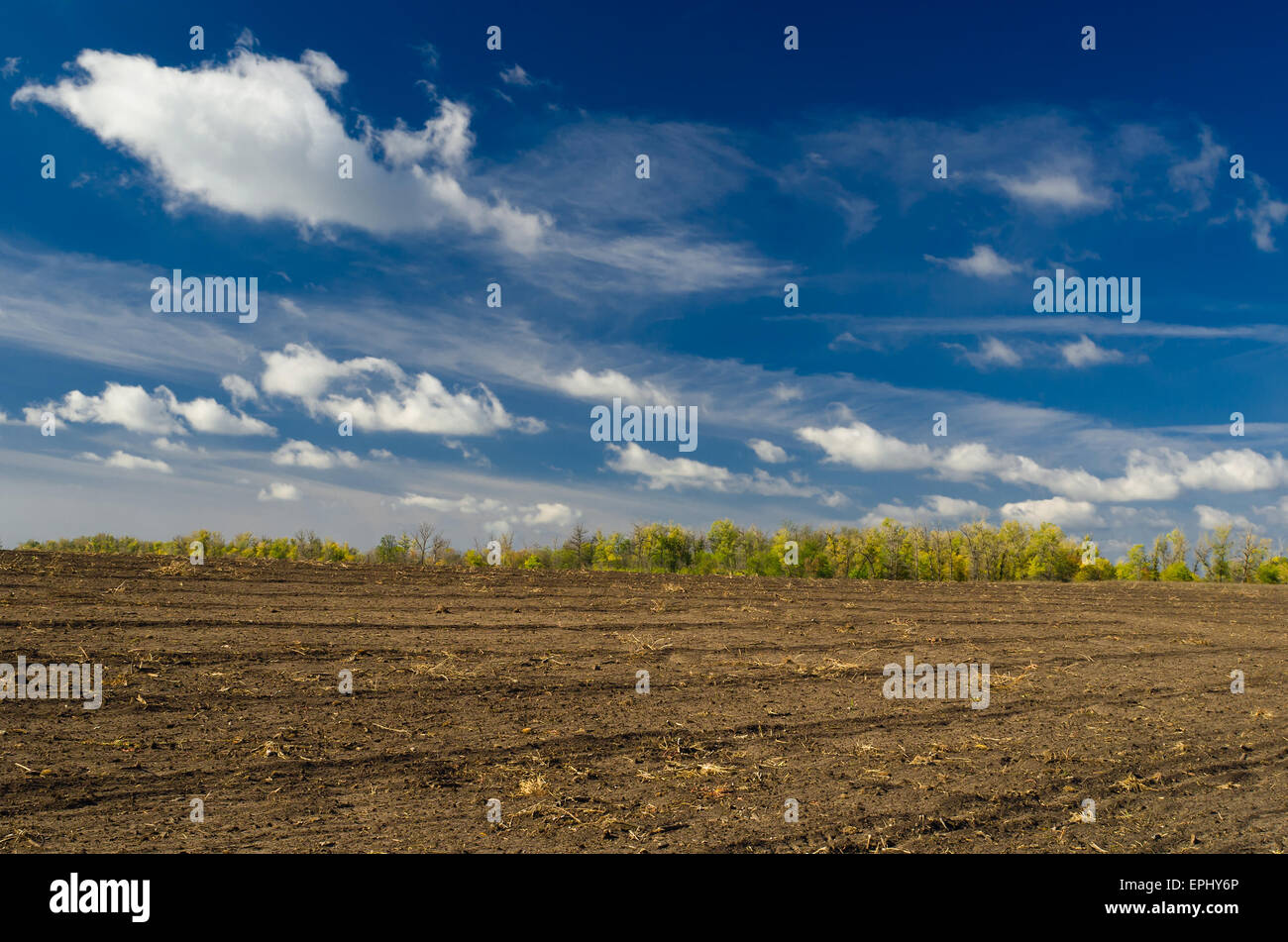 Rows in heavens and fields - seasonal landscape with low skies under ...
