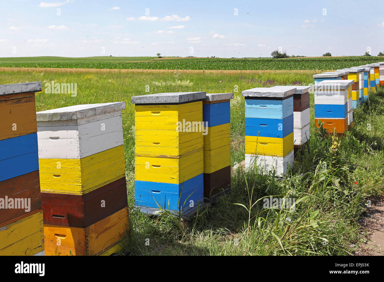 Colourful bee hives hi-res stock photography and images - Alamy