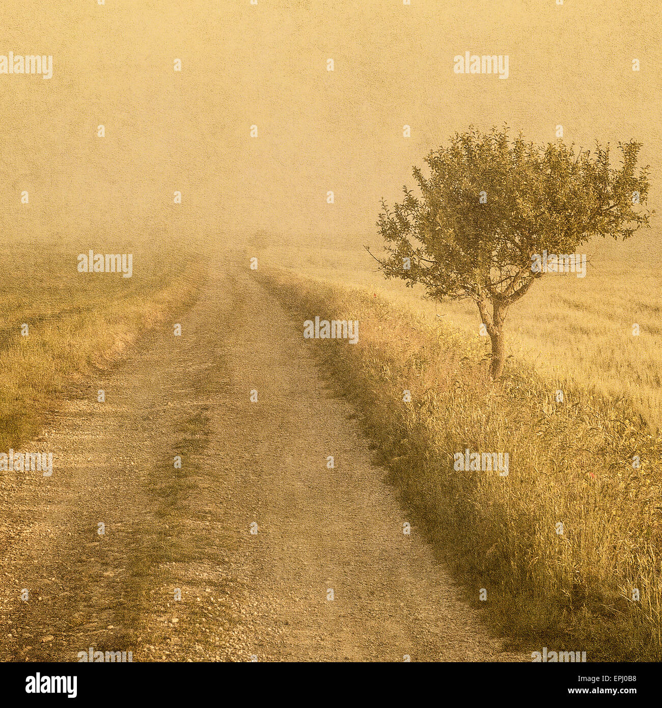grunge image of a tree over grunge background Stock Photo - Alamy