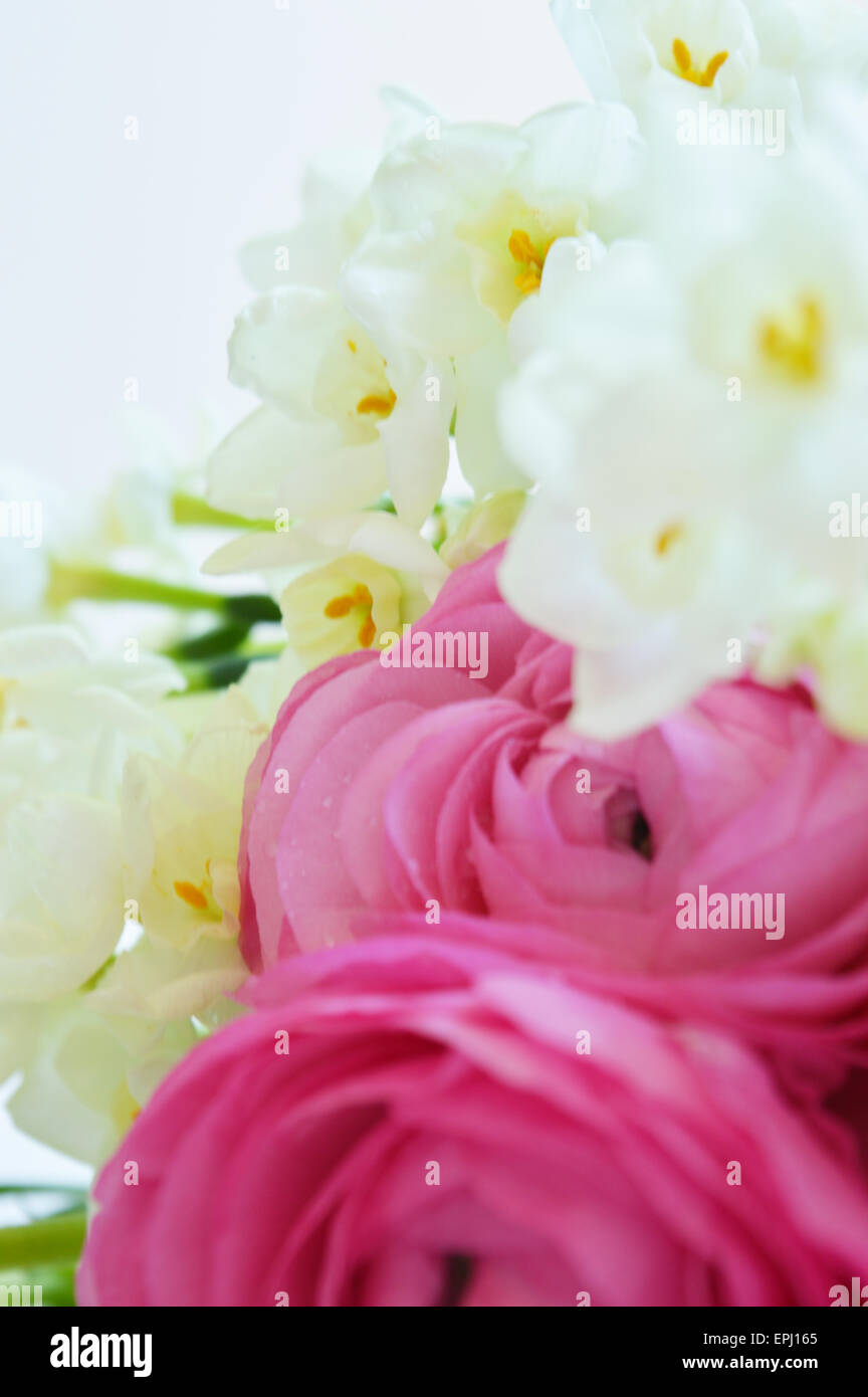 Libe isolated hi-res stock photography and images - Alamy