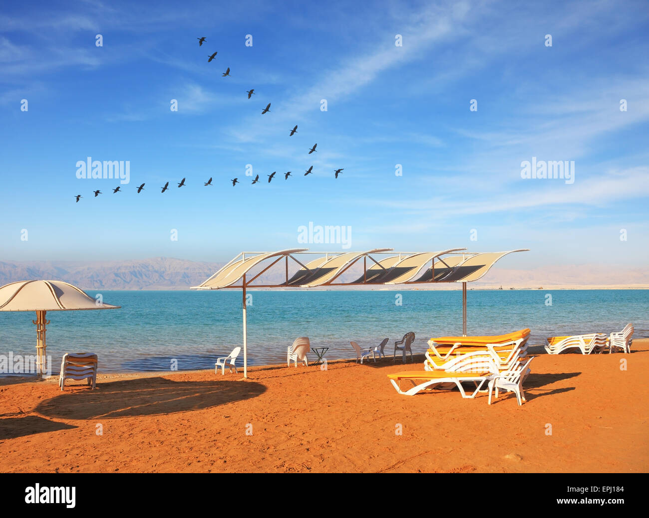 Over the sea flying cranes Stock Photo - Alamy