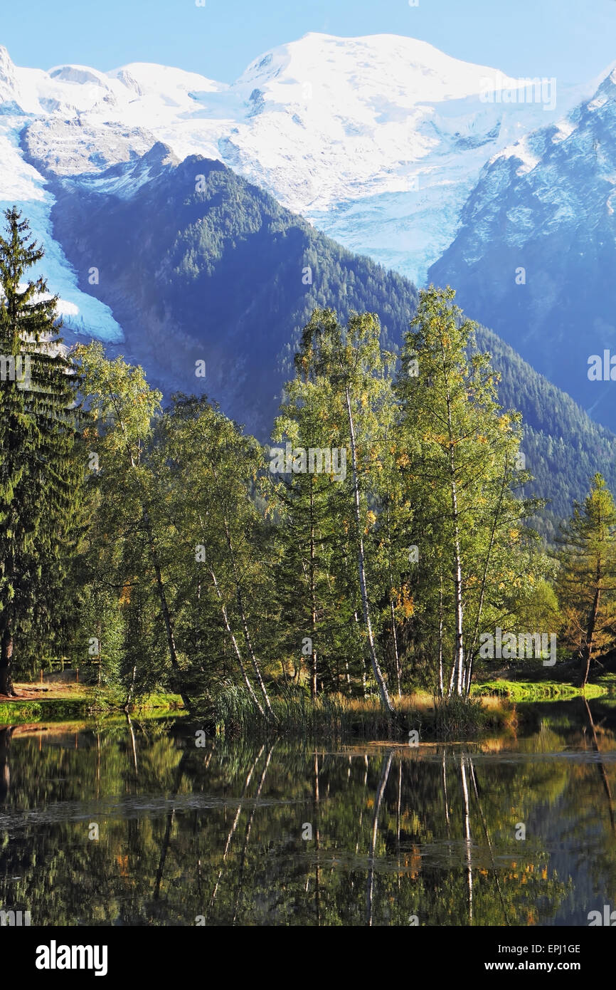 Snow capped trees hi-res stock photography and images - Alamy