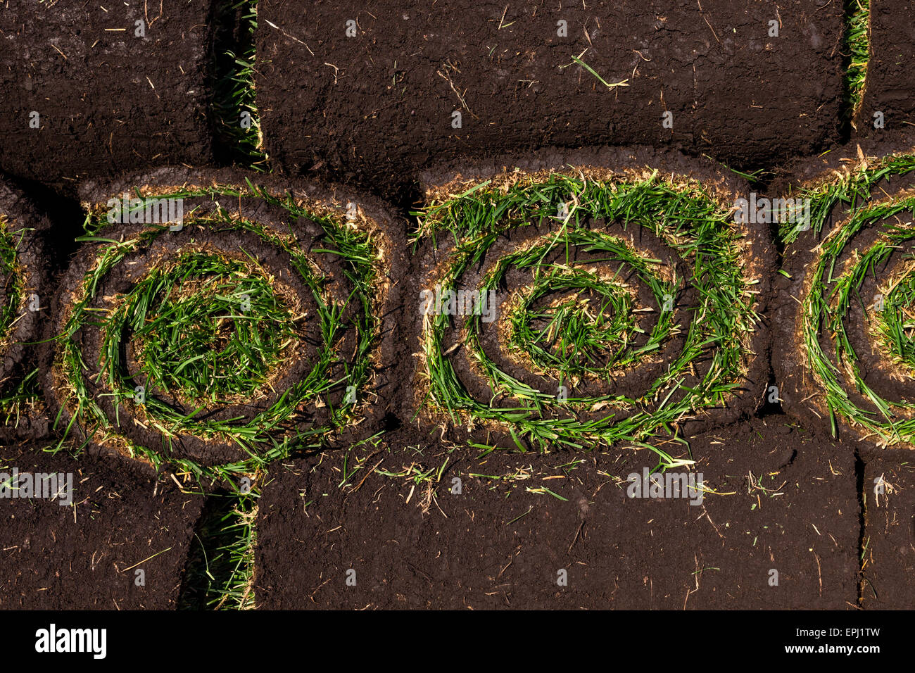 Grass turf roll hi-res stock photography and images - Alamy