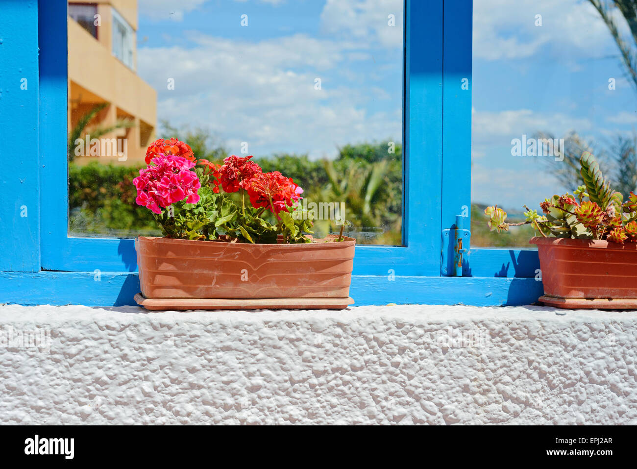 Geranium box hi-res stock photography and images - Alamy