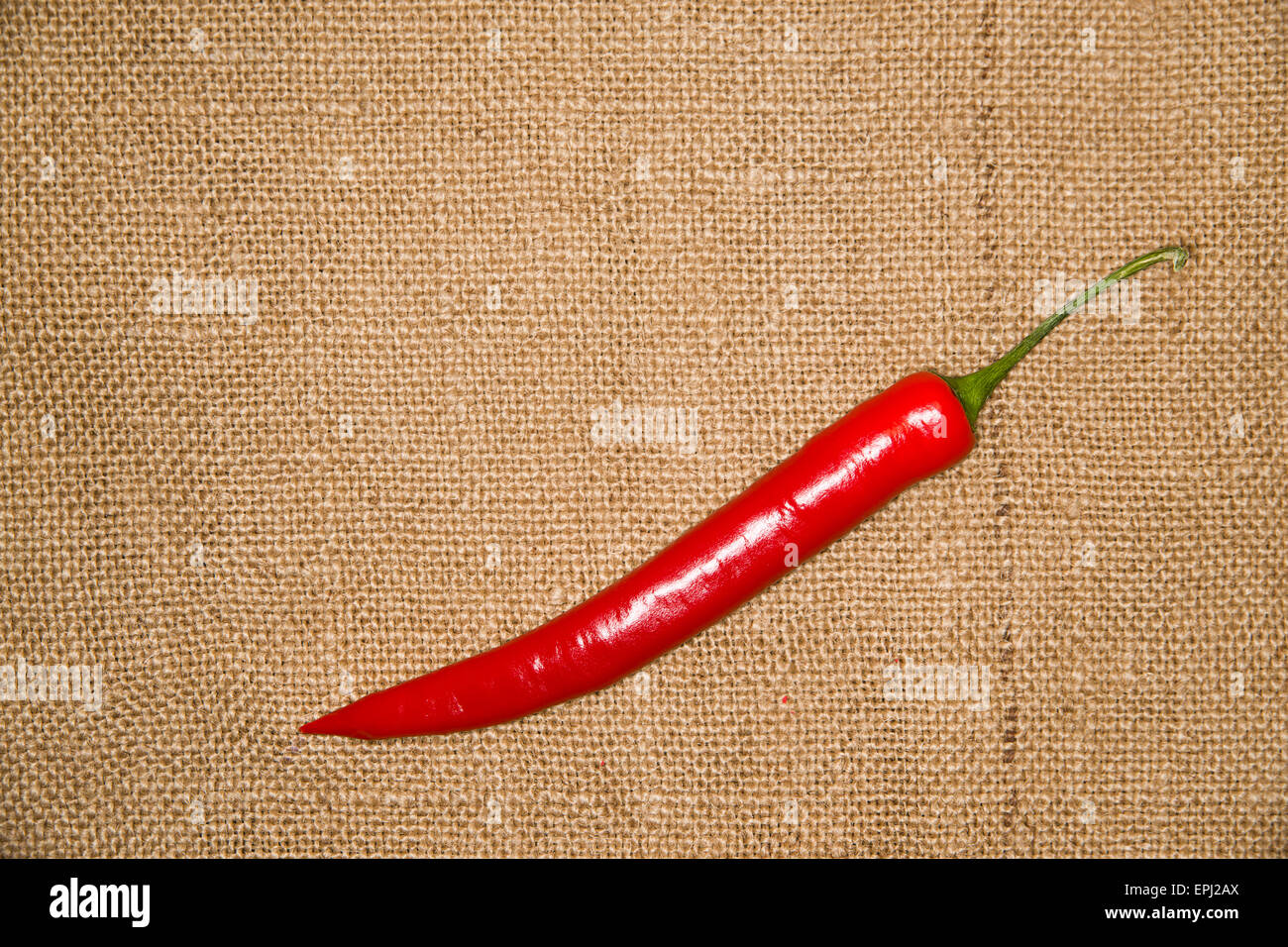 One red Chile pepper on old cloth Stock Photo - Alamy