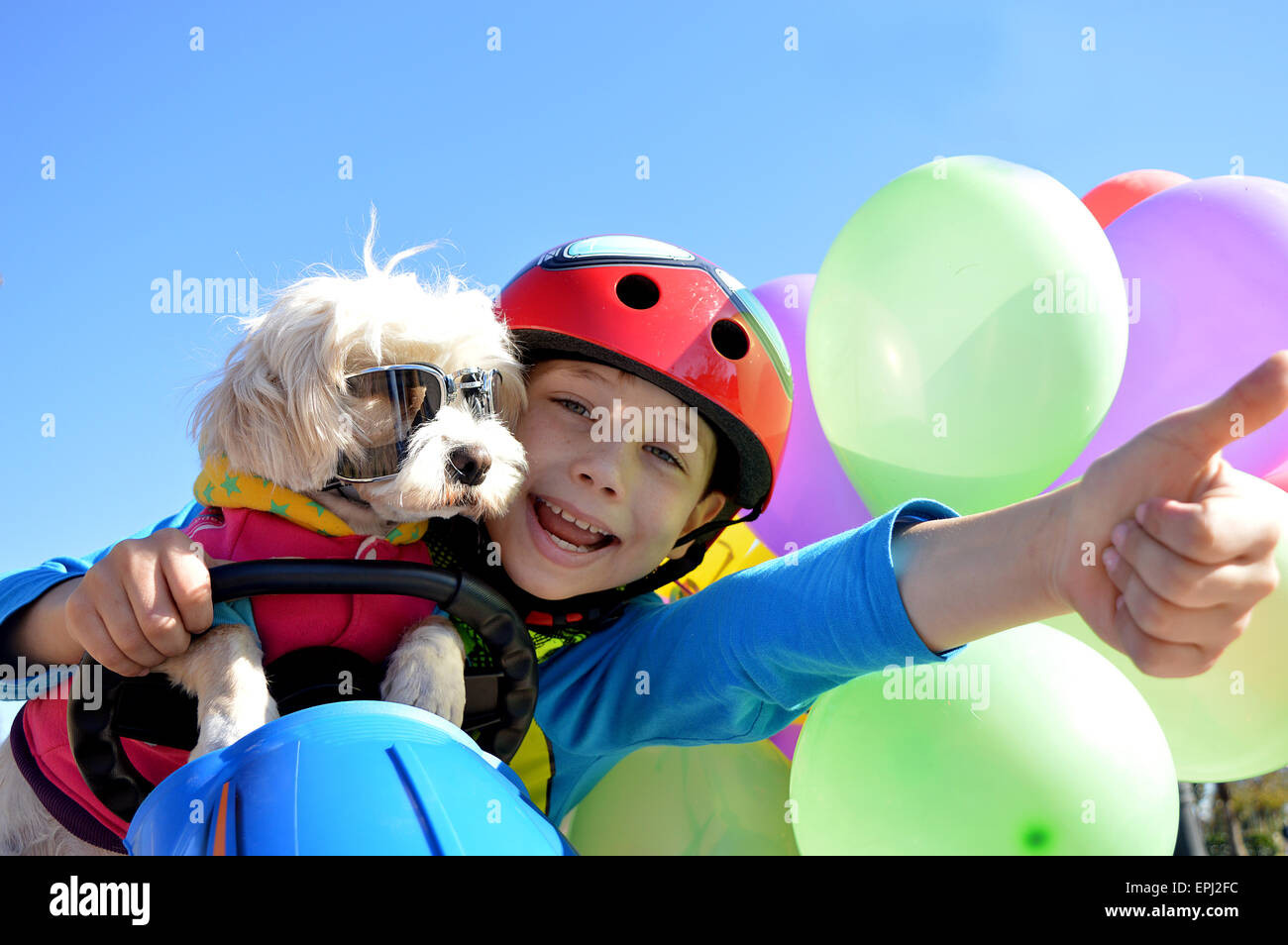 Boy and dog hi-res stock photography and images - Alamy