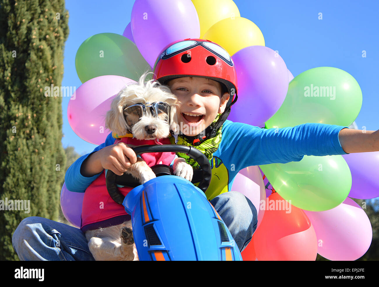 Boy and dog hi-res stock photography and images - Alamy