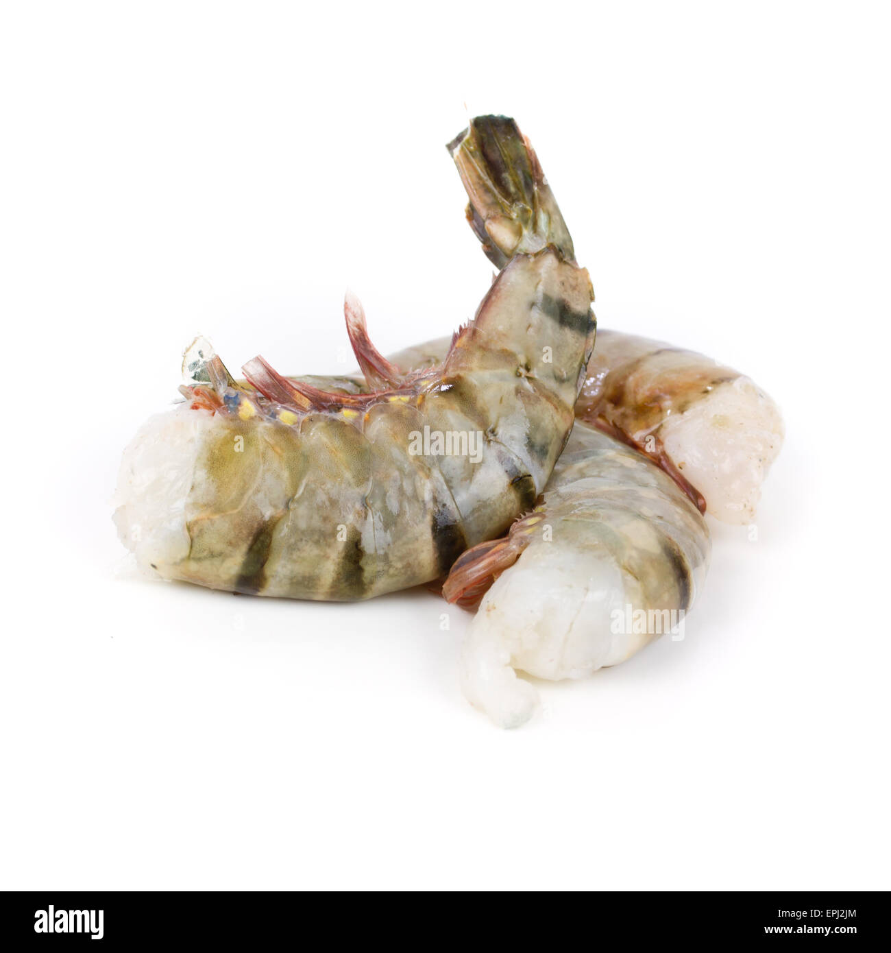 Rare shrimp hi-res stock photography and images - Alamy
