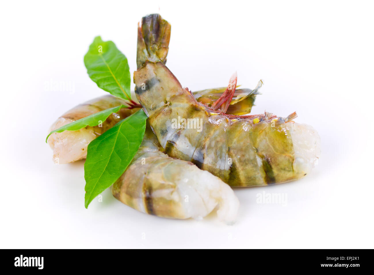Rare shrimp hi-res stock photography and images - Alamy