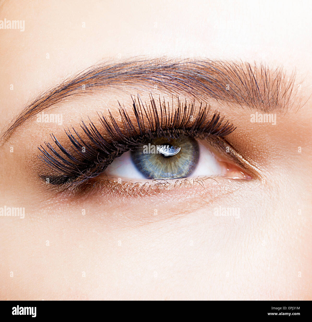 Female eye with long eyelashes Stock Photo - Alamy