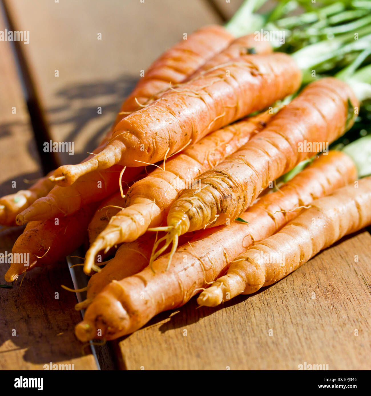 Carrot bund hi-res stock photography and images - Alamy