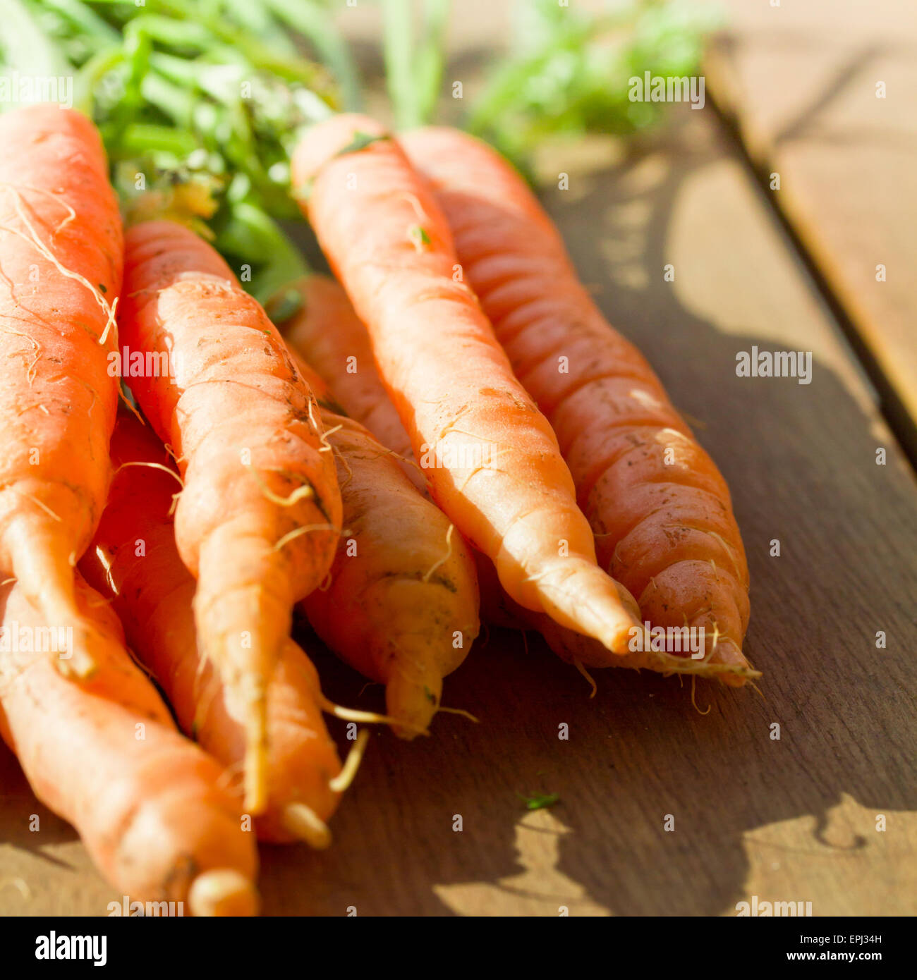 Carrot bund hi-res stock photography and images - Alamy