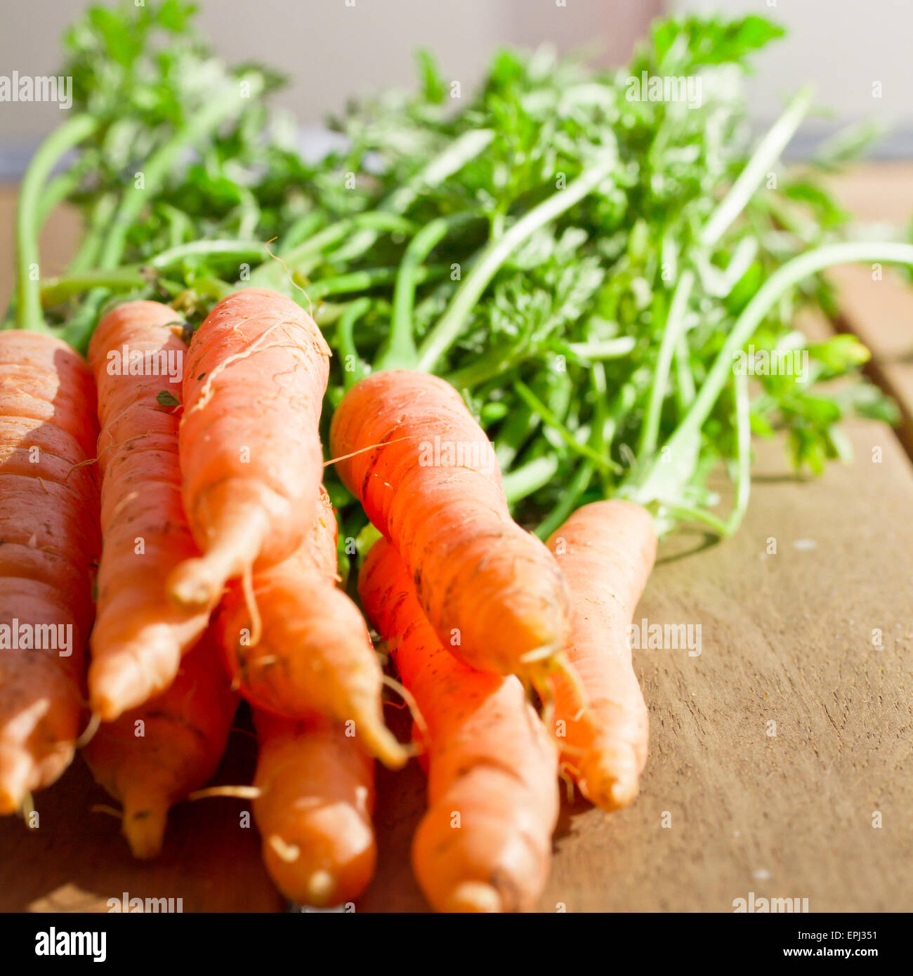 Bund karotte hi-res stock photography and images - Alamy