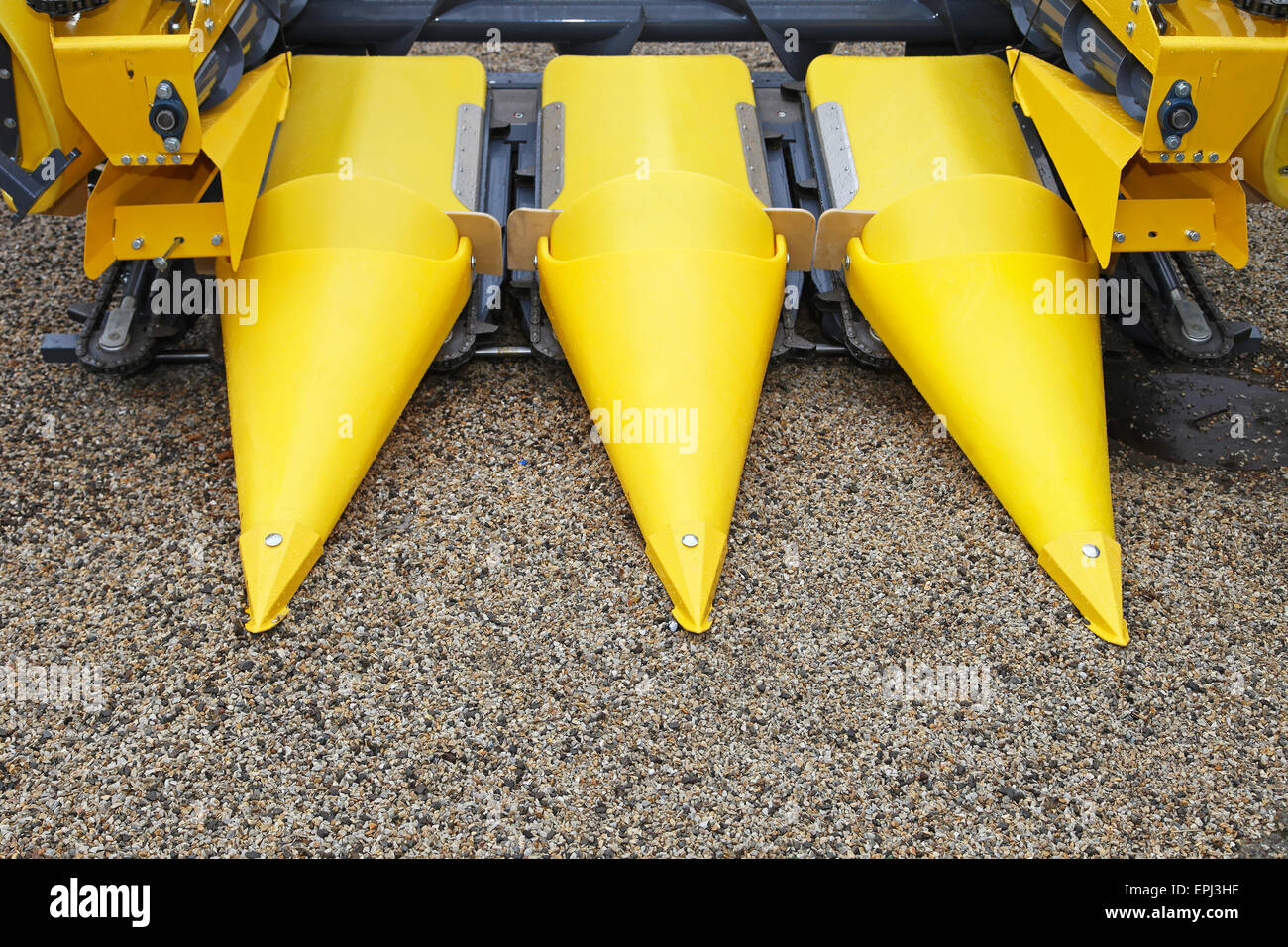 Corn spike hi-res stock photography and images - Alamy