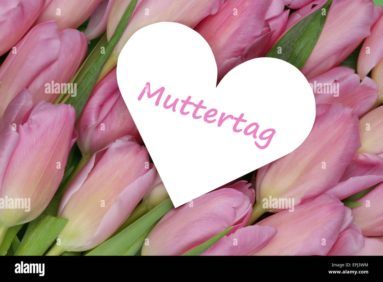 Tulpen Blumen zum Muttertag mit Liebe Herz Stock Photo - Alamy