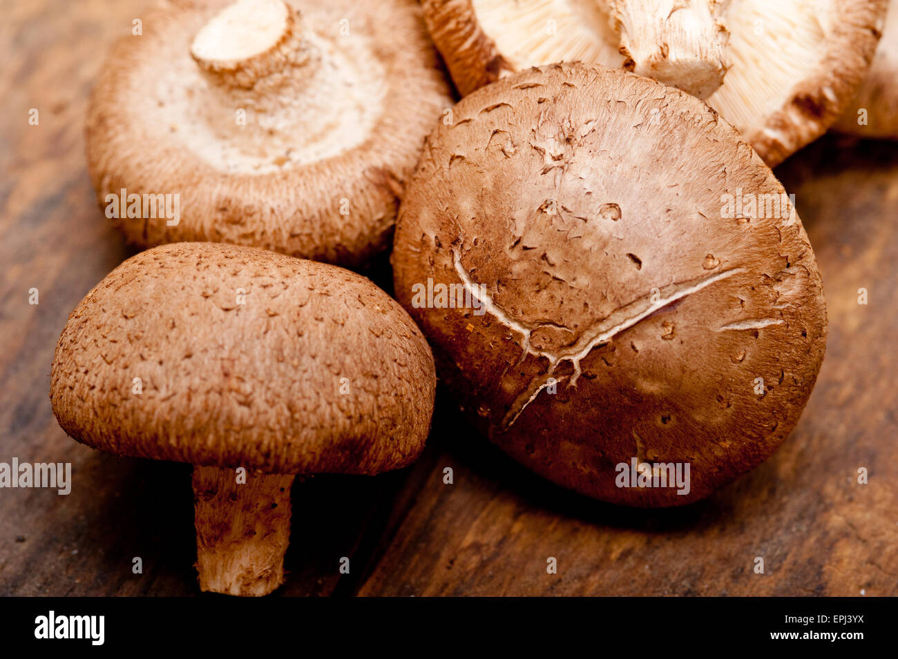 Brown enoki mushrooms hi-res stock photography and images - Alamy
