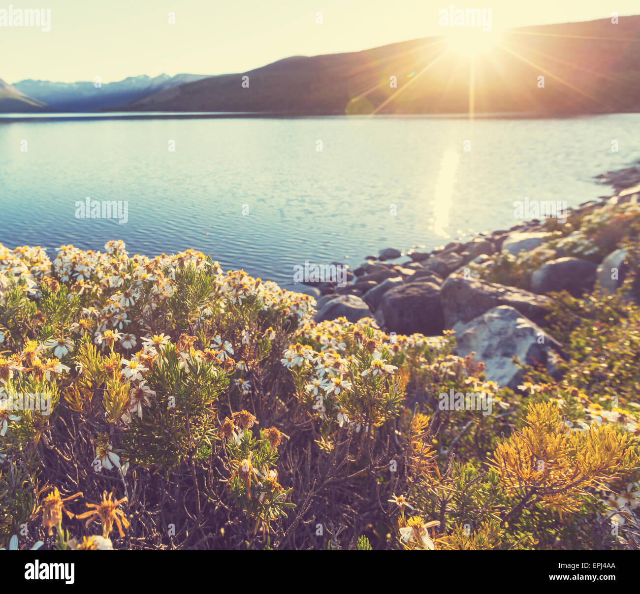 Volcanic roc hi-res stock photography and images - Alamy