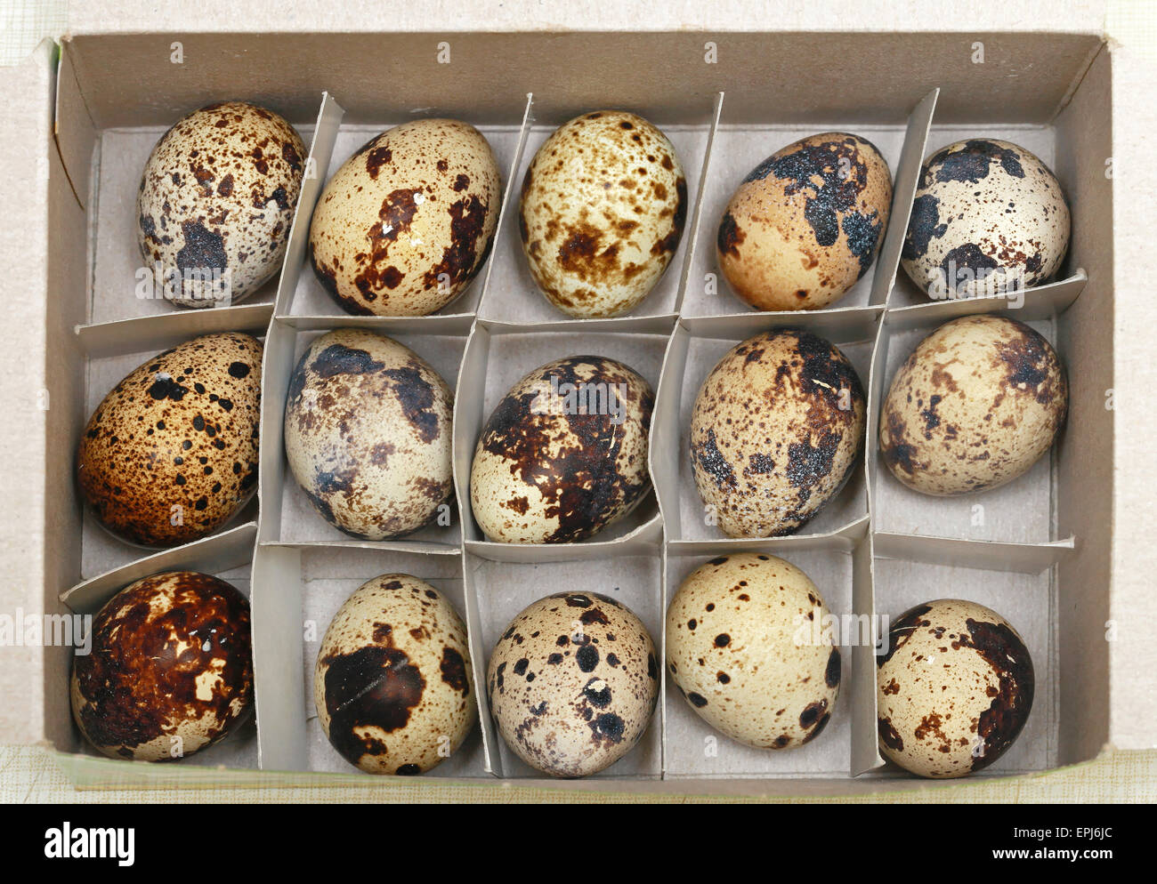 Quail egg box Stock Photo - Alamy