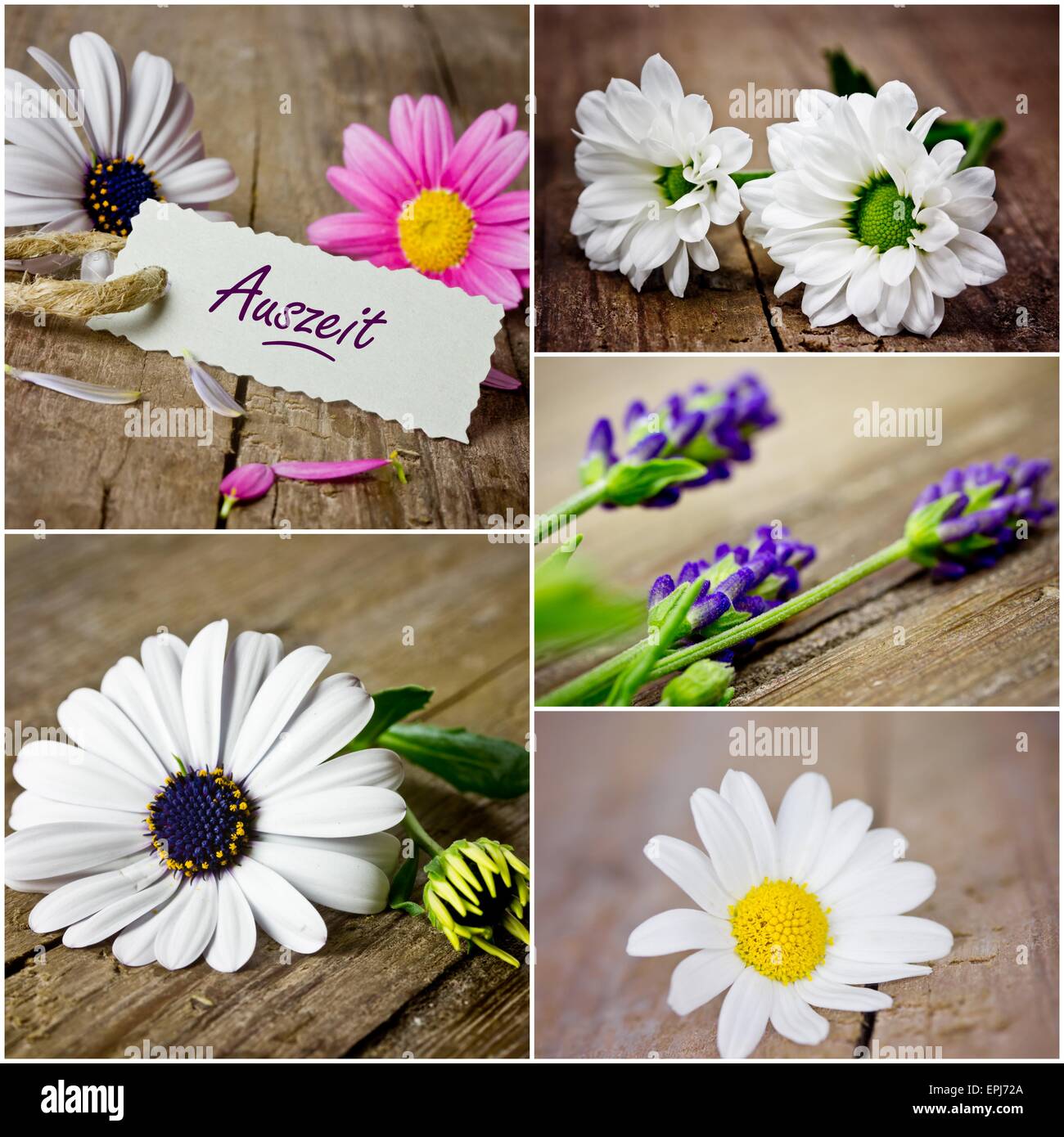 Yoga flowers hi-res stock photography and images - Alamy