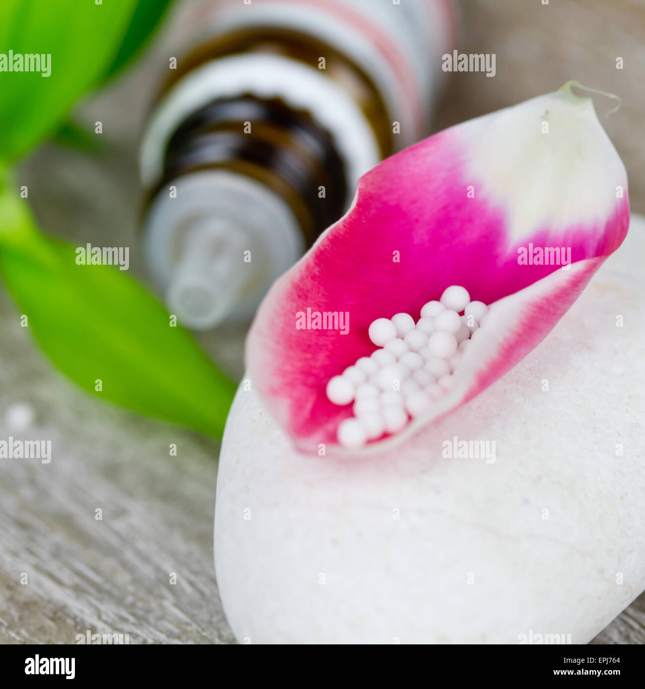 Flower globules hi-res stock photography and images - Alamy